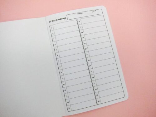 30 Day Challenge Notebook • My Idle Moments